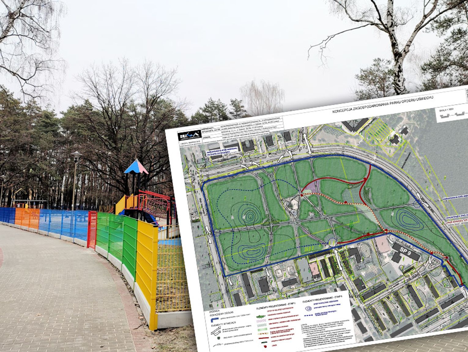 Fundacja alarmująco o wycince drzew w parku. Jest odpowiedź urzędu ... Fundacja alarmująco o wycince drzew w parku. Jest odpowiedź urzędu ...